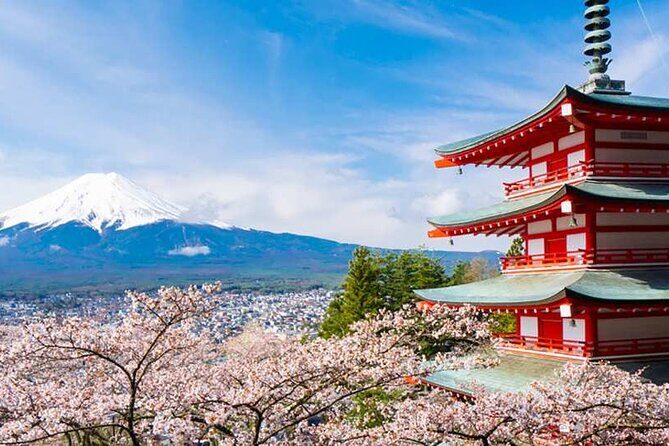 Mount Fuji, Oshino Hakkai and Park Sightseeing Day Tour - The Itinerary in Detail