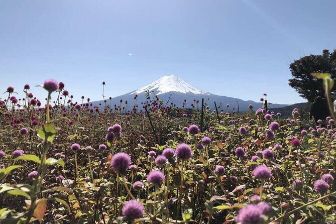Mount Fuji, Oshino Hakkai and Park Sightseeing Day Tour - Final Thoughts