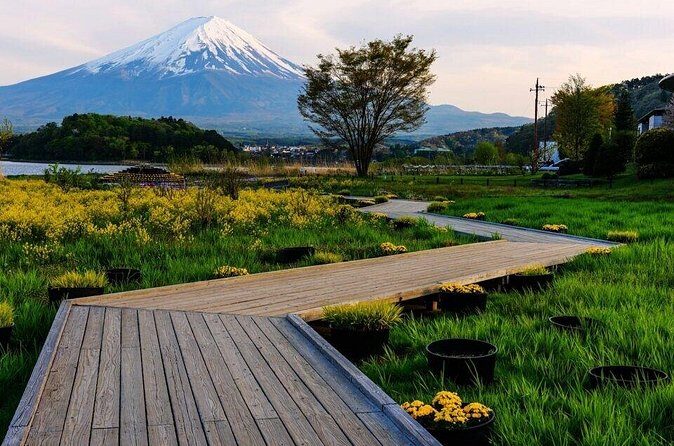 Mount Fuji, Oshino Hakkai and Park Sightseeing Day Tour - FAQ