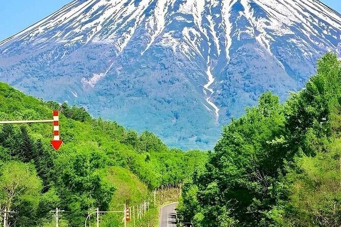 Mount Fuji Oshino Hakkai Sengen Park Sightseeing Day Tour - What Makes This Tour Stand Out?