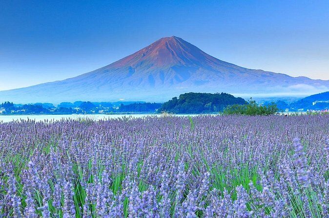 Mount Fuji, Oshino Hakkaiand,Hakone Ropeway Bus Tour Experience - Exploring the Itinerary in Detail