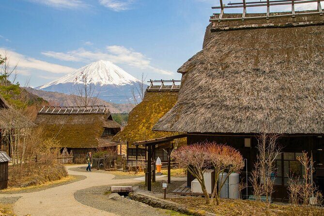 Mount Fuji Private Custom Tour with Local English Speaking Guide - Who Is This Tour Best For?