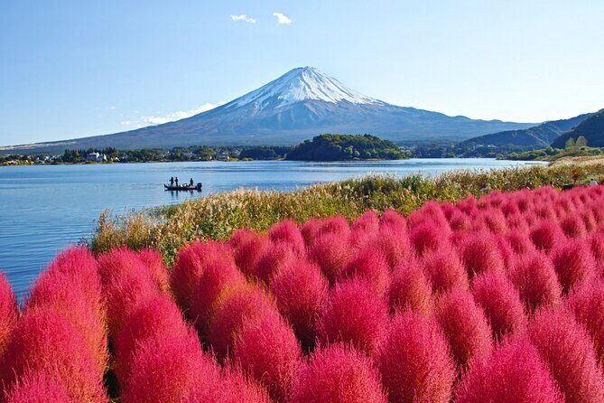Mount Fuji Private Custom Tour with Local English Speaking Guide - The Sum Up