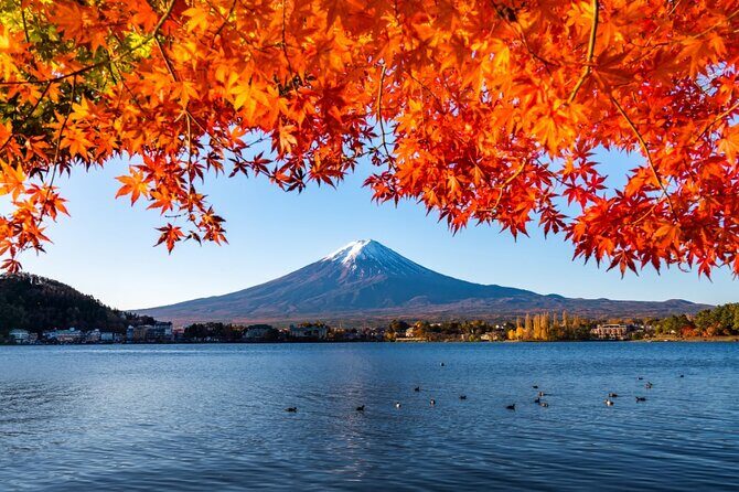 Mount Fuji Private Custom Tour with Local English Speaking Guide - FAQ