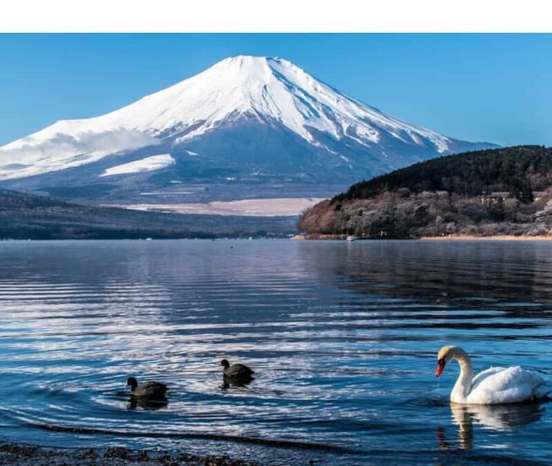 Mount Fuji Private Day Tour customized with English driver - The Promise of a Personalized Experience