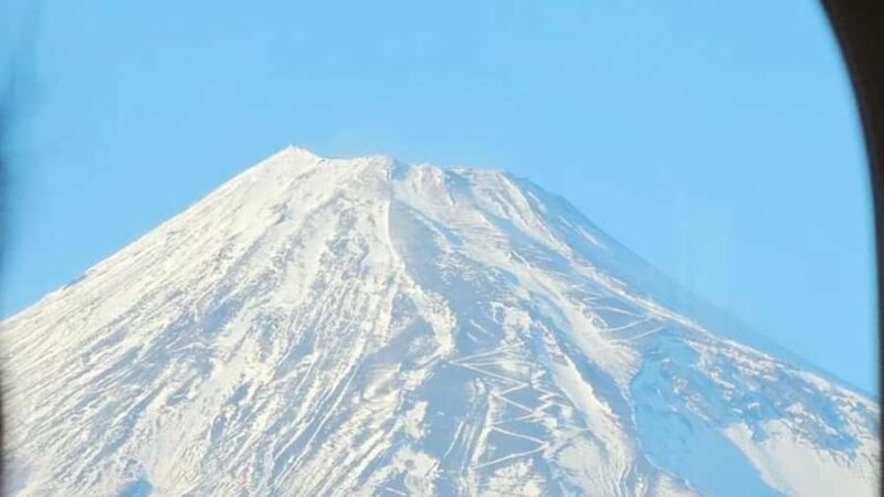 Mount Fuji Private Day Tour customized with English driver - The Cost and Value
