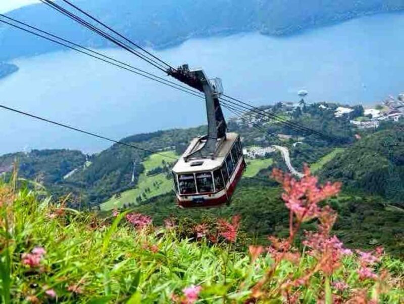 Mount Fuji Private Day Tour with English speaking Guide - Is This Tour Right for You?