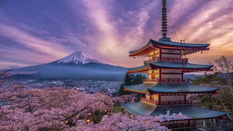 Mount Fuji: Private Full day Tour (Customizable) Eng driver - Key Points