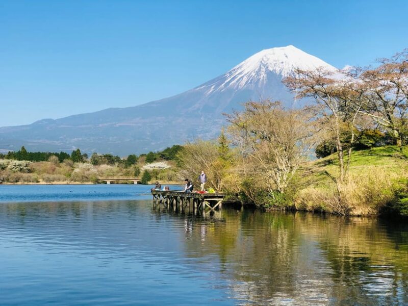 Mount Fuji Private Full Day Tour from Tokyo by Car or Van - Final Words