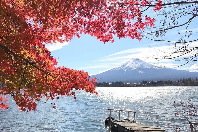 Mount fuji Private Tour - Transportation and Comfort