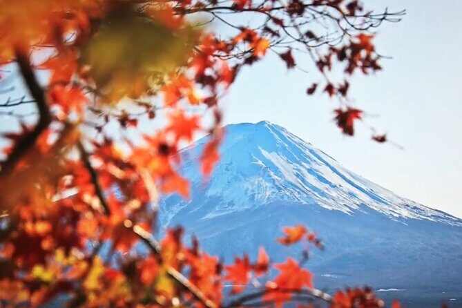 Mount fuji Private Tour - FAQs
