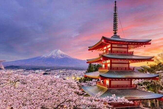 Mount Fuji Private Tour from Tokyo with English Speaking Driver - The Sum Up