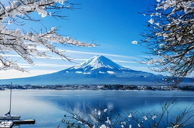Mount Fuji Private Tour from Tokyo with English Speaking Driver - FAQ