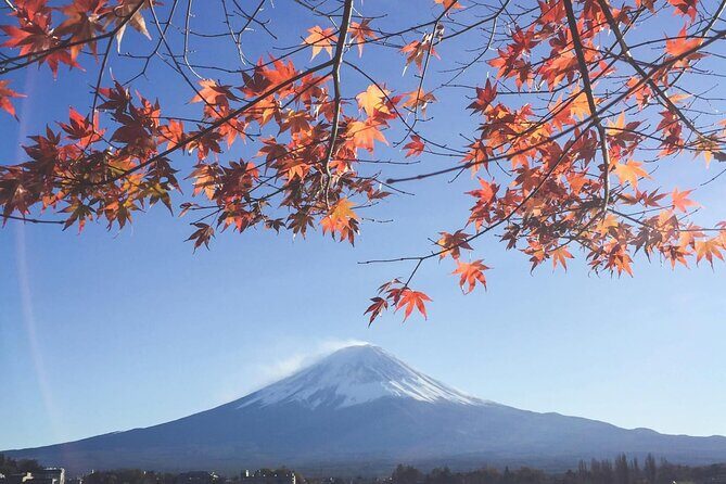 Mount Fuji Private Tour With English Speaking Driver - Why Consider This Tour?