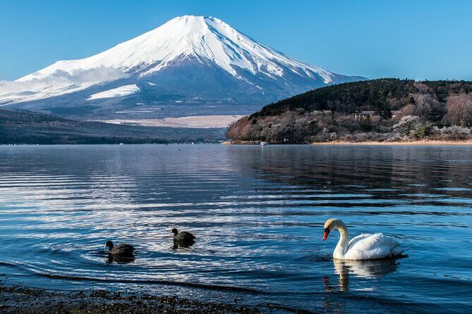 Mount Fuji Private Tour With English Speaking Driver - Authentic Traveler Feedback