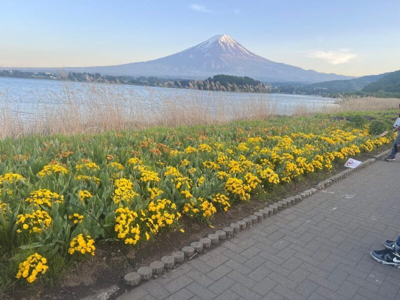Mount Fuji Private Tour With English Speaking Driver/Guide - Authentic Cultural Encounters and Flexibility