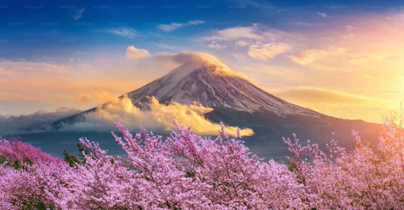 Mount Fuji Private Tour With English Speaking Driver - Exploring the Mount Fuji Private Tour With an English-Speaking Driver: A Practical Guide