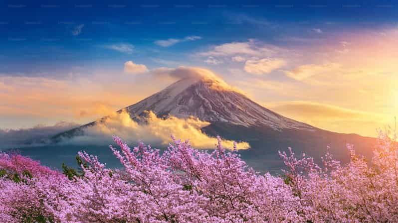 Mount Fuji Private Tour With English Speaking Driver - The Charm of Arakurayama Sengen Park and the Chureito Pagoda