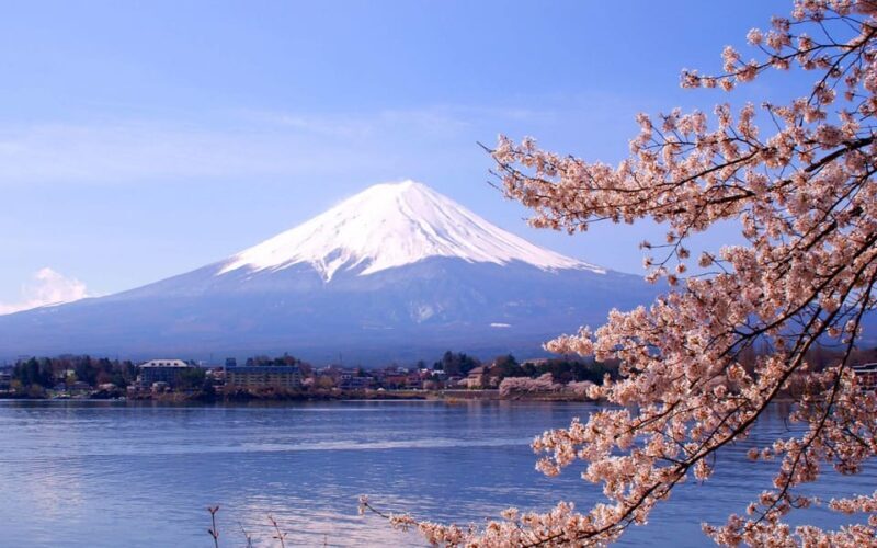 Mount Fuji Pvt. Full Day Trip with English-Speaking Driver - An In-Depth Look at the Tour Experience