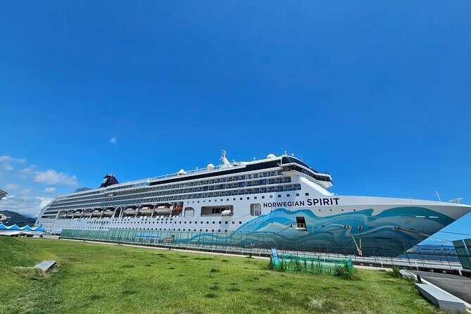 Mount Fuji Scenic EBike Tour for Cruise Travelers - Who Should Consider This Tour?