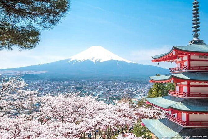 Mount Fuji Sightseeing Private tour w English speaking chauffeur - Final Thoughts