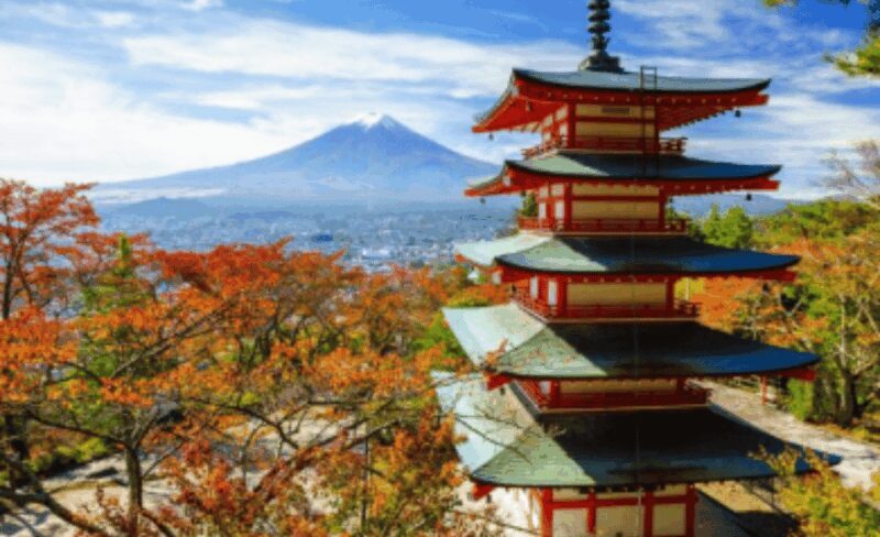 Mount Fuji Sightseeing tour with English speaking guide - How the Tour Works and What to Expect