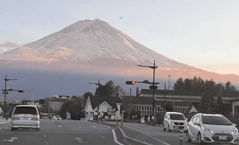 Mount Fuji Sightseeing tour with English speaking guide - The Practical Side: Travel Comfort and Logistics