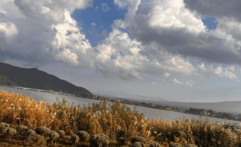 Mount Fuji Sightseeing tour with English speaking guide - Who Will Enjoy This Tour?