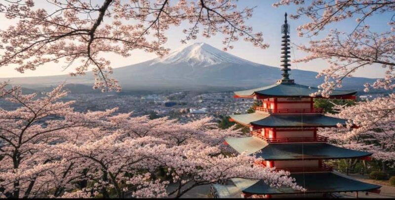 Mount Fuji Sunrise & Scenic Adventure Experience - Who Should Consider This Tour?
