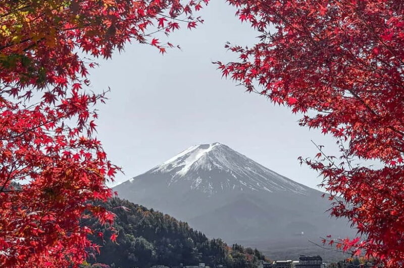 Mount Fuji,Lake Kawaguchiko Private Tour By Car With Pick Up - Key Points