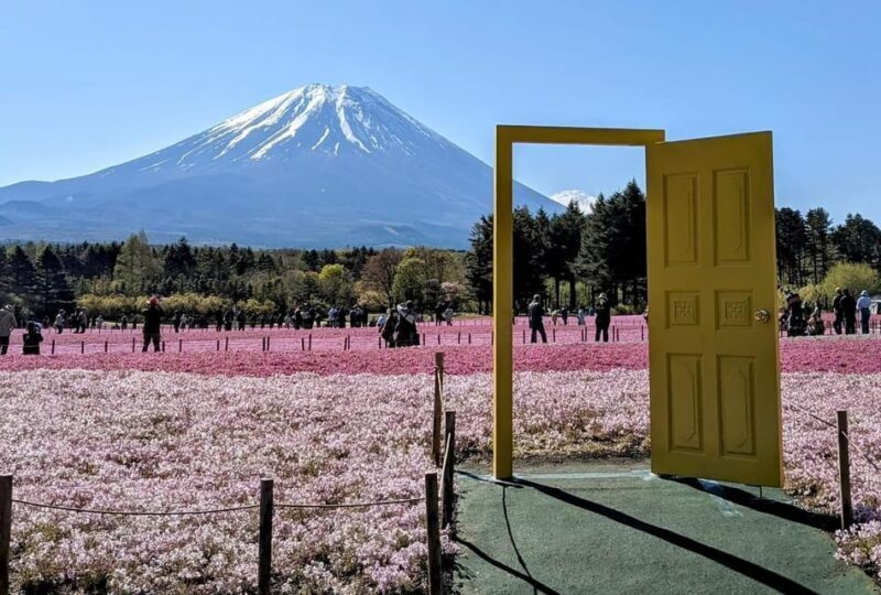Mount Fuji,Lake Kawaguchiko Private Tour By Car With Pick Up - FAQs