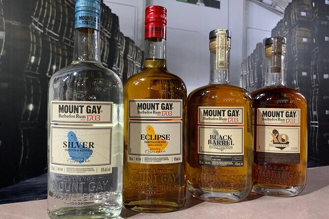 Mount Gay Signature Rum Tasting Experience - Visualizing the Experience