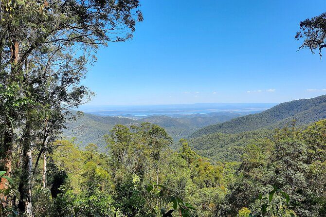 Mount Glorious to Mount Mee Tour - Exploring the Itinerary in Detail