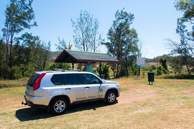Mount Glorious to Mount Mee Tour - The Experience From Travelers’ Perspectives
