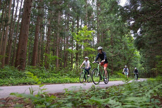 Mount Haguro E-Bike Sightseeing Tour in Yamagata, Japan - Key Points