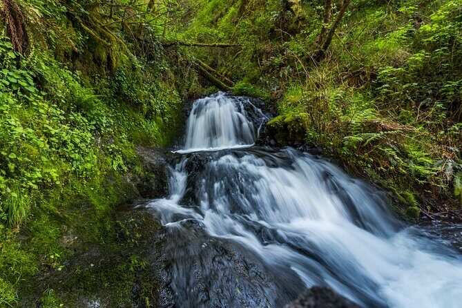 Mount Hood Loop Scenic Drive Self Guided Audio Tour - Final Words