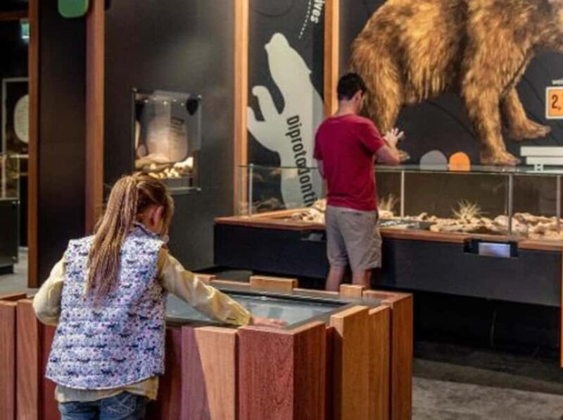 Mount Isa: Riversleigh Fossil Discovery Centre Guided Tour - Interactive and Multimedia Elements