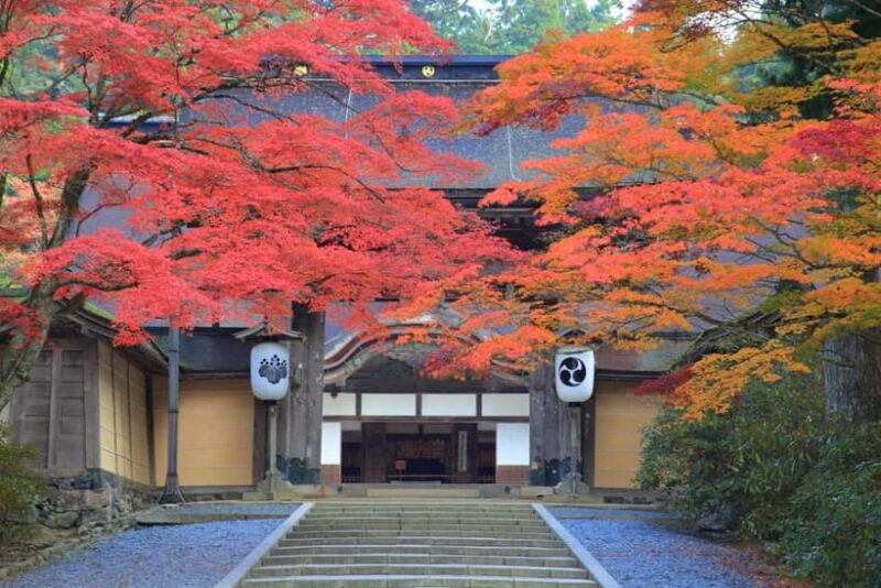 Mount Koya from Osaka: Cultural Small Group Day Tour - An In-Depth Look at the Mount Koya Tour Experience