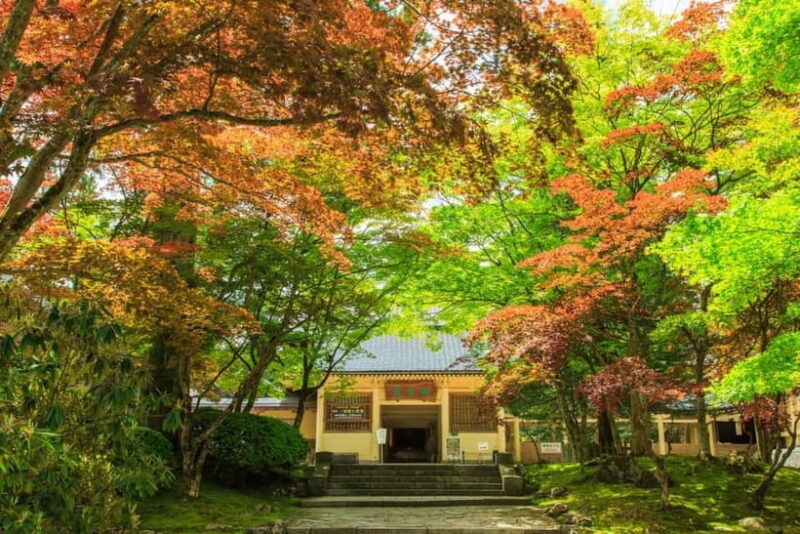 Mount Koya from Osaka: Cultural Small Group Day Tour - FAQ