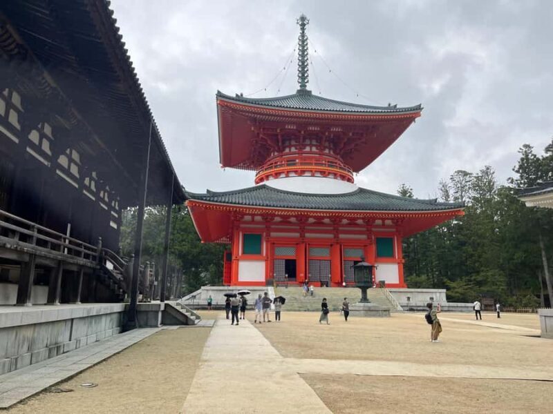 Mount Koya: Full-Day Private Guided Tour from Osaka - The Practicalities: Transportation and Group Size