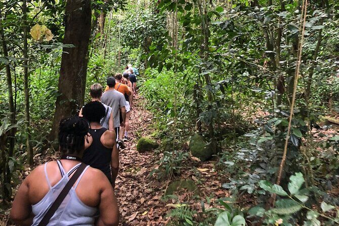 Mount Liamuiga Volcano Hike St Kitts Highest peak - Who Should Consider This Tour?