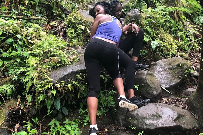 Mount Liamuiga Volcano Tours - What to Expect on the Mount Liamuiga Volcano Tour