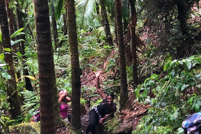 Mount Liamuiga Volcano Tours - Reviews: The Real Story from Travelers