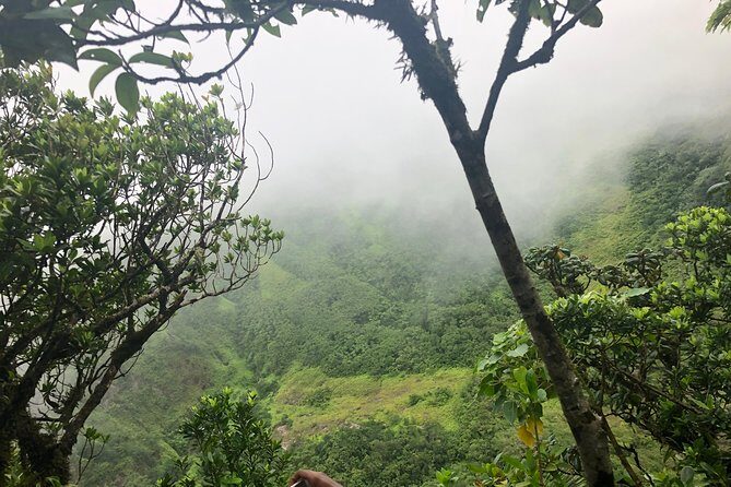 Mount Liamuiga Volcano Tours - FAQs