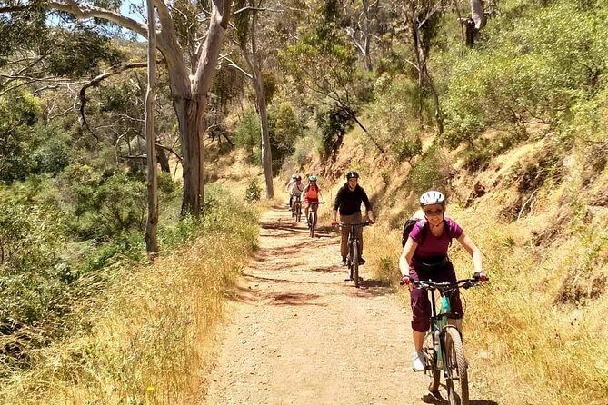 Mount Lofty Descent Bike Tour from Adelaide - The Journey Down: From Summit to Adelaide