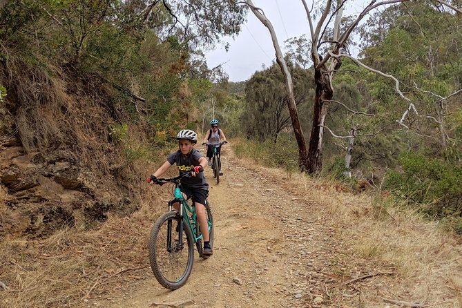 Mount Lofty Descent Bike Tour from Adelaide - Real Traveler Perspectives: Authentic Insights