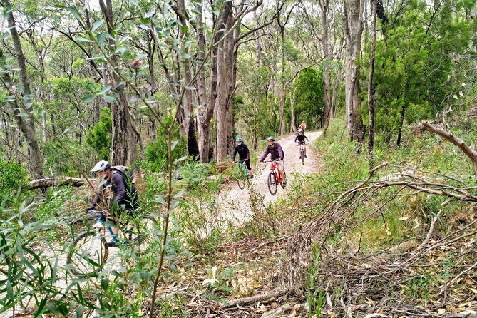 Mount Lofty Descent Bike Tour from Adelaide - Practical Details: Group Size, Timing, and Accessibility