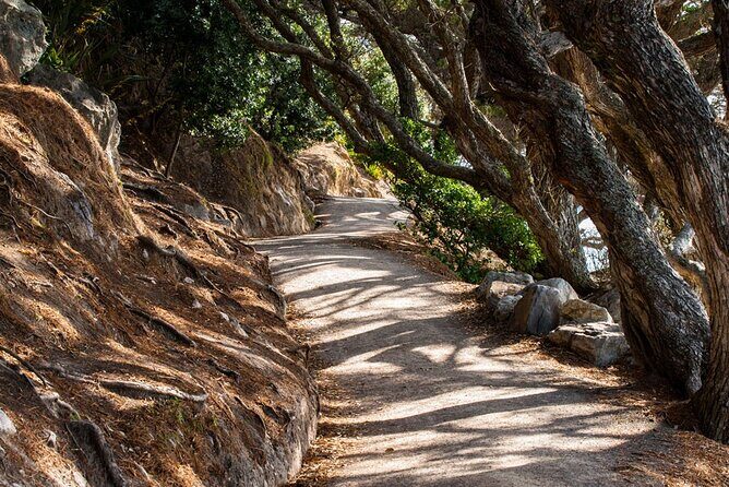 Mount Maunganui, Tauranga Day Tour from Auckland - FAQs