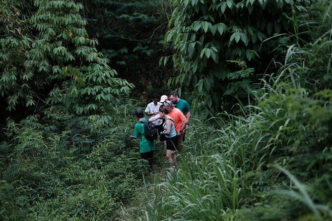 Mount Merapi: A Serene Soft Trek Through Botanic Villages Tour - Key Points