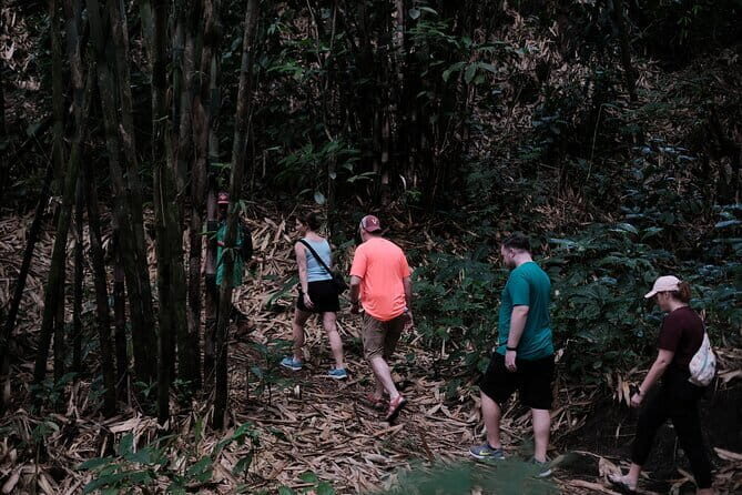 Mount Merapi: A Serene Soft Trek Through Botanic Villages Tour - Who Is This Tour Best For?